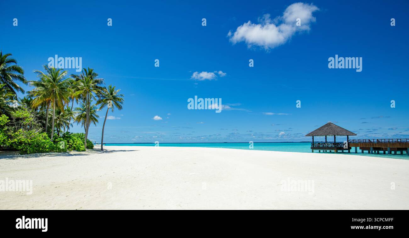 Gorgeous beachfront Maldives luxury resort. Water villa, palm trees ...