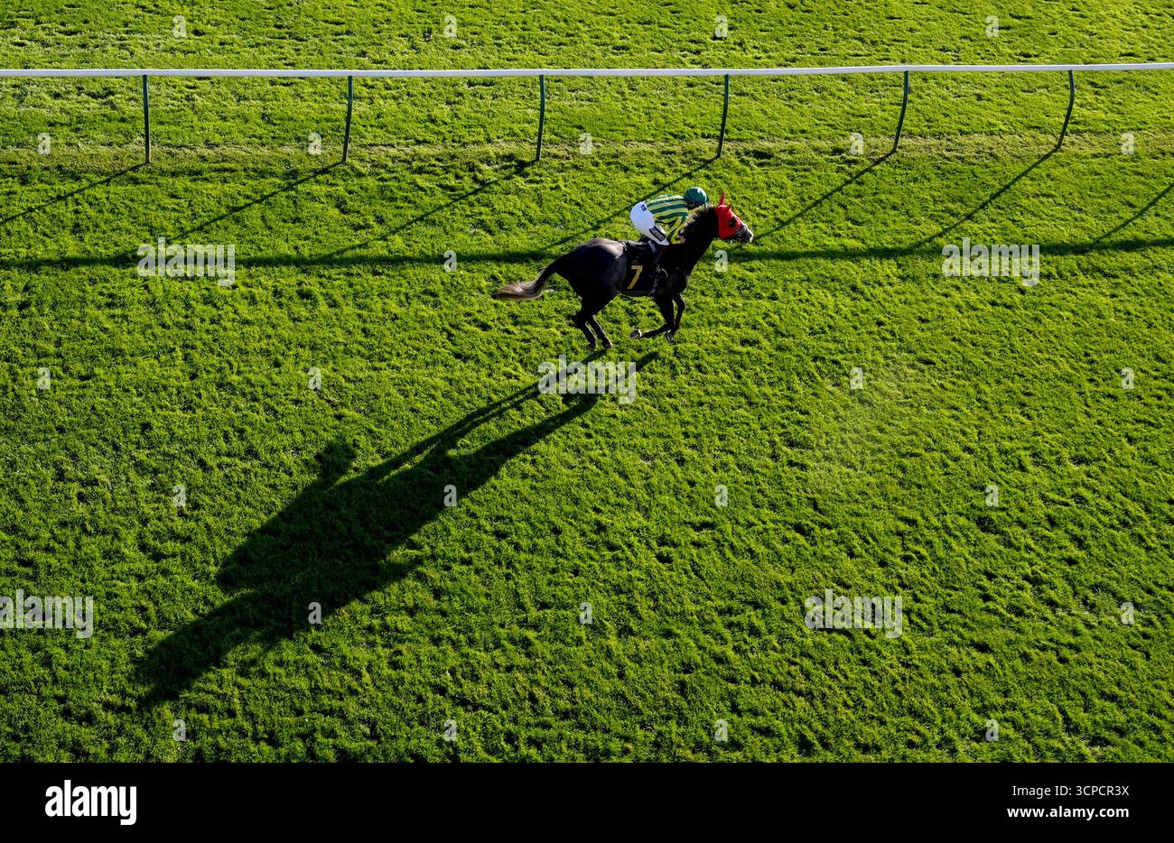 Hachiman ridden by Josephine Gordon during the Rogues Gallery Racing ...