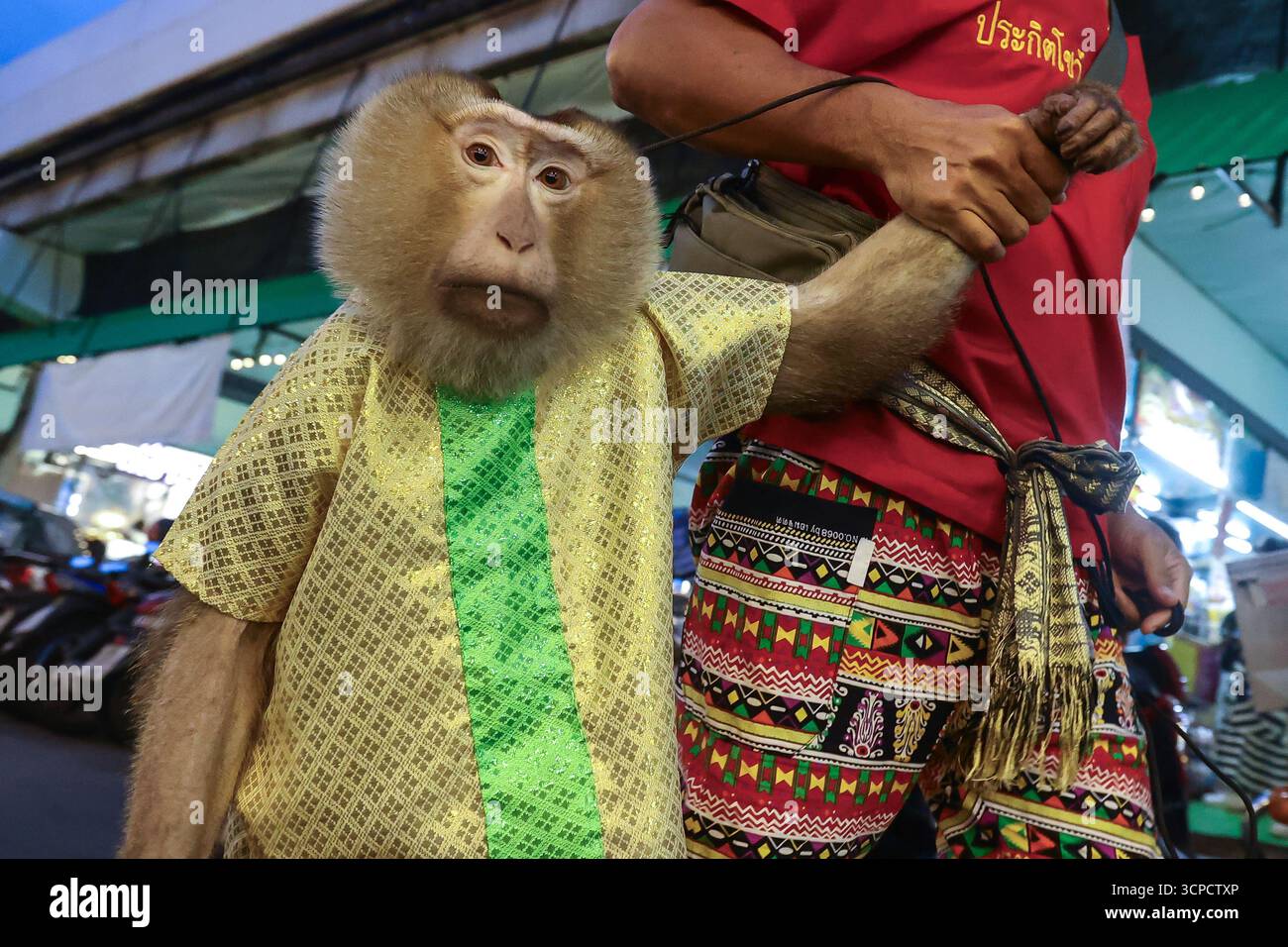 September 25, 2025, Bangkok, Bangkok, Thailand: Prakit Monkey Show is a ...