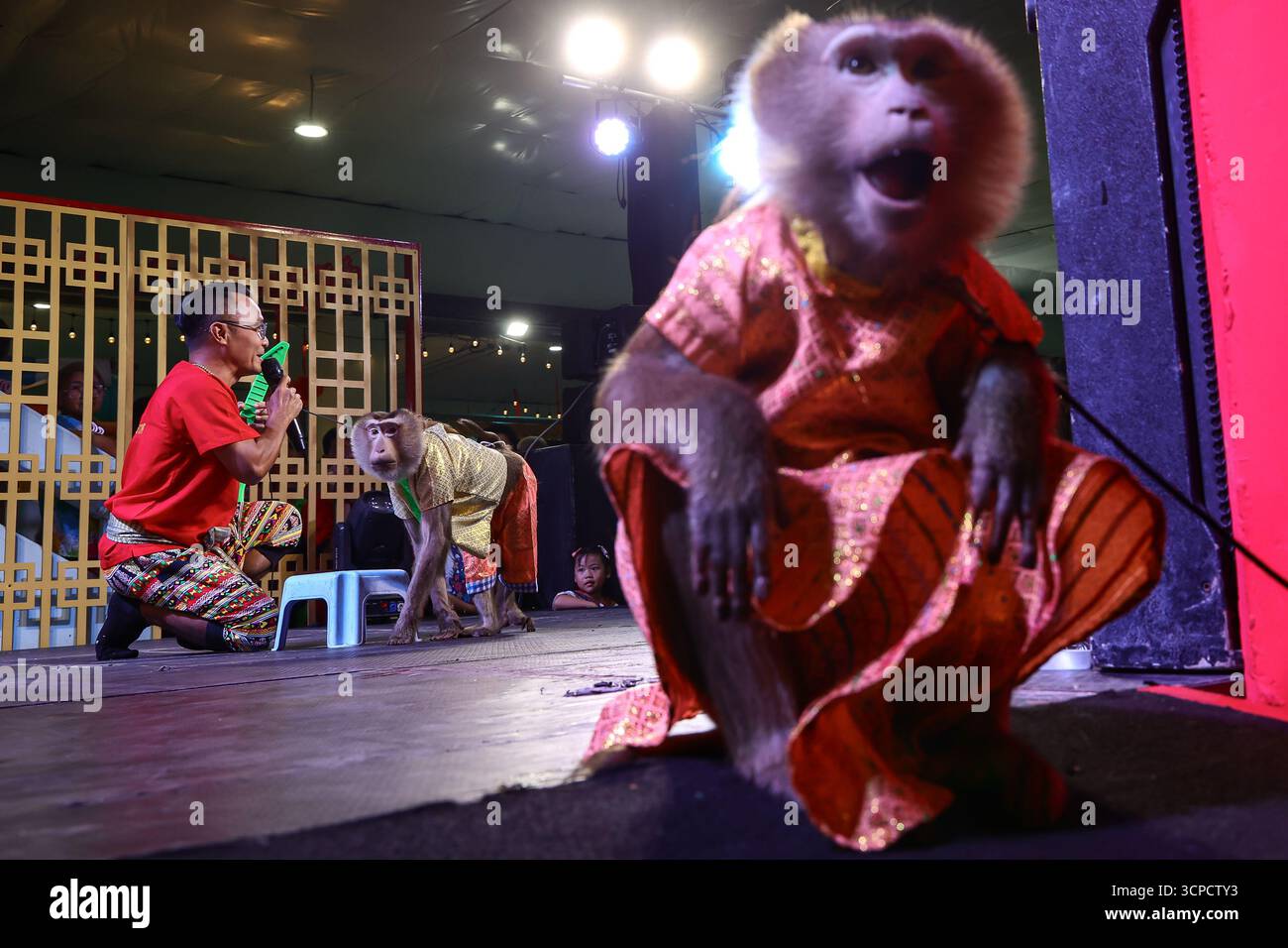 Bangkok, Bangkok, Thailand. 25th Sep, 2025. Prakit Monkey Show is a ...
