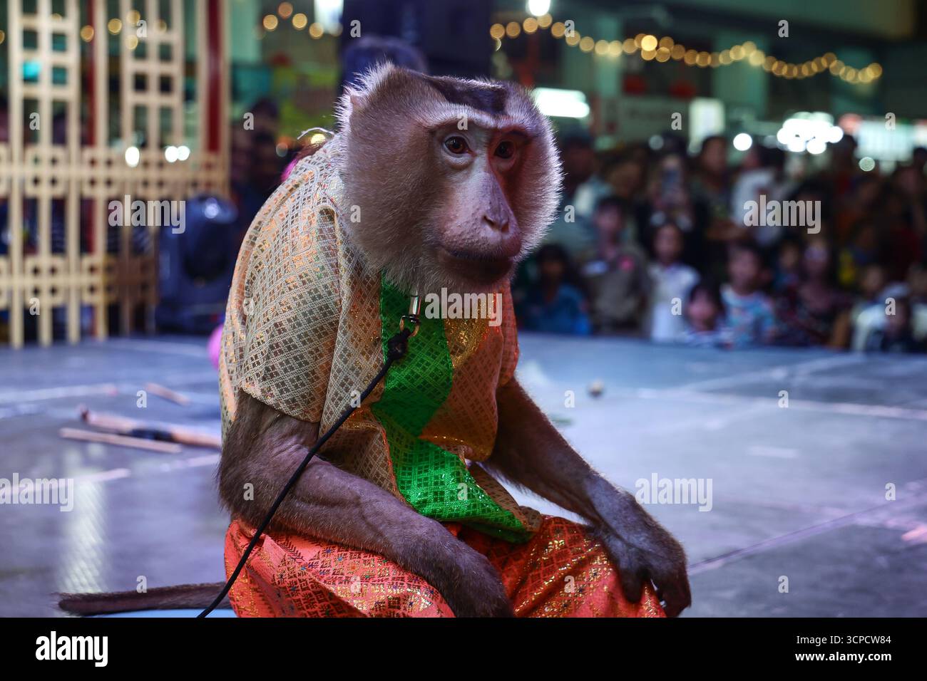 Bangkok, Bangkok, Thailand. 25th Sep, 2025. Prakit Monkey Show is a ...