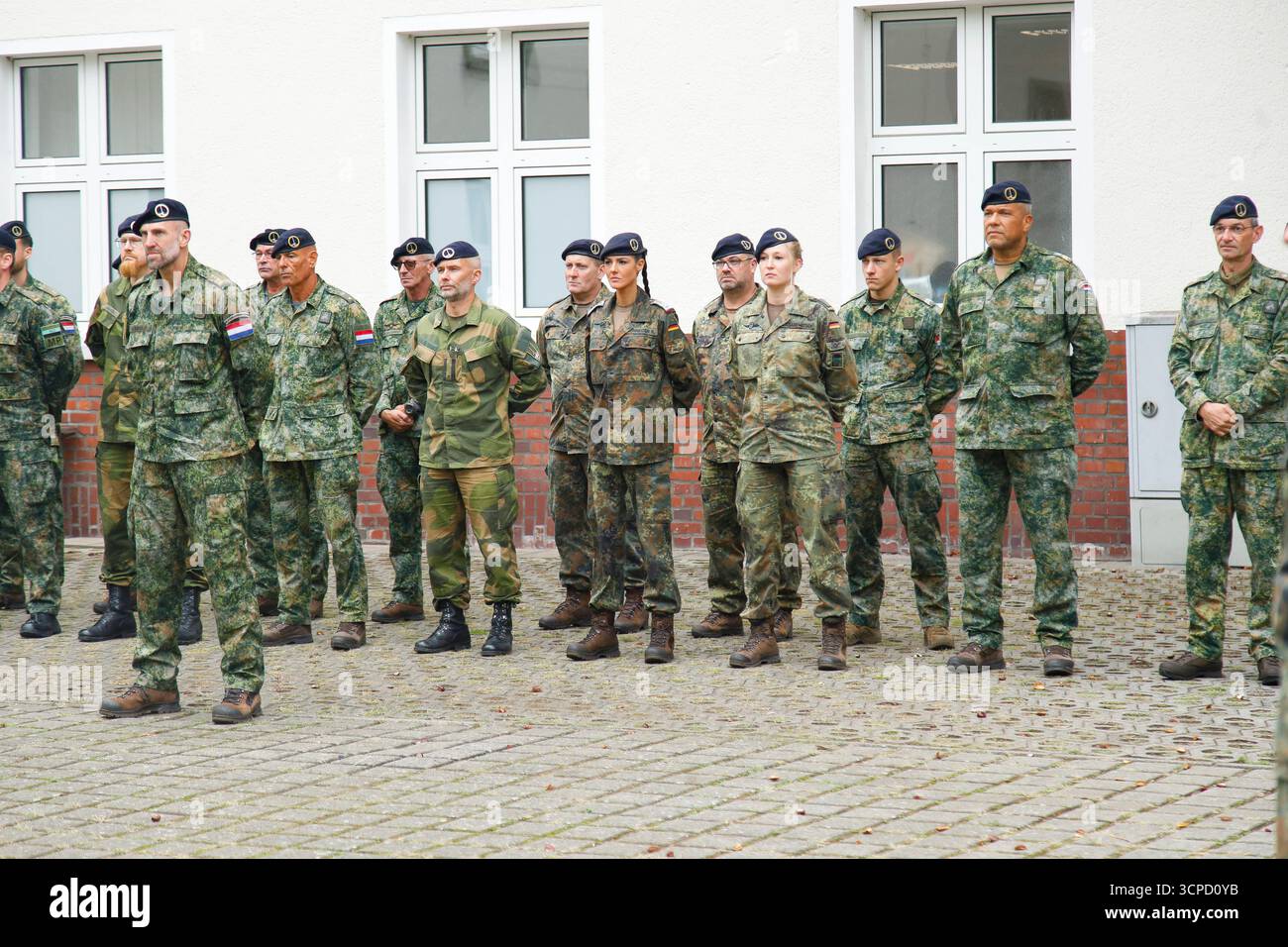 30 Jahre Deutsch-Niederländisches Corps: Bundespräsident trifft König ...
