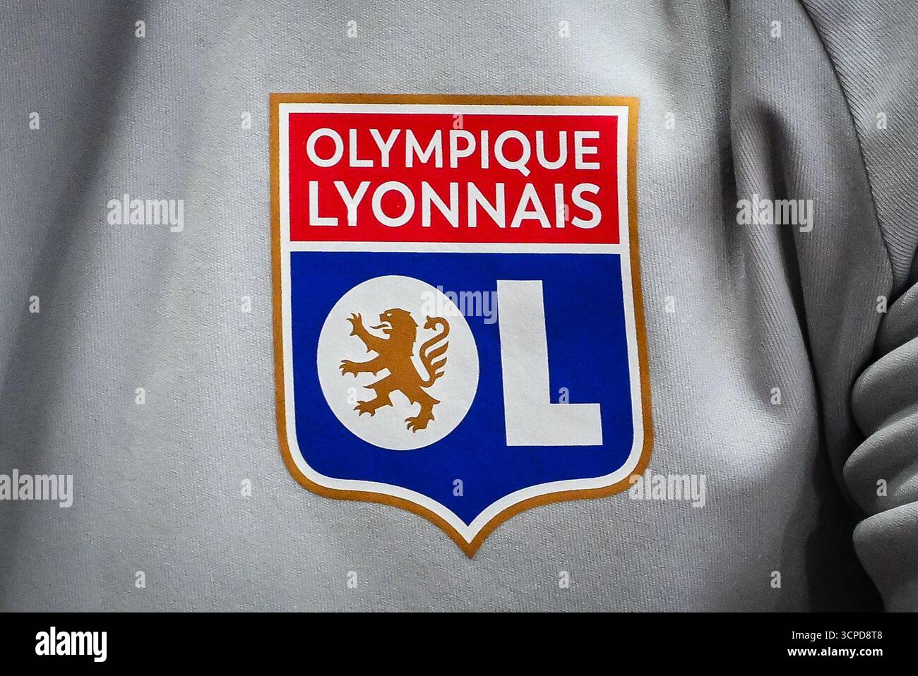 Illustration of the official logo of Lyon during the French ...