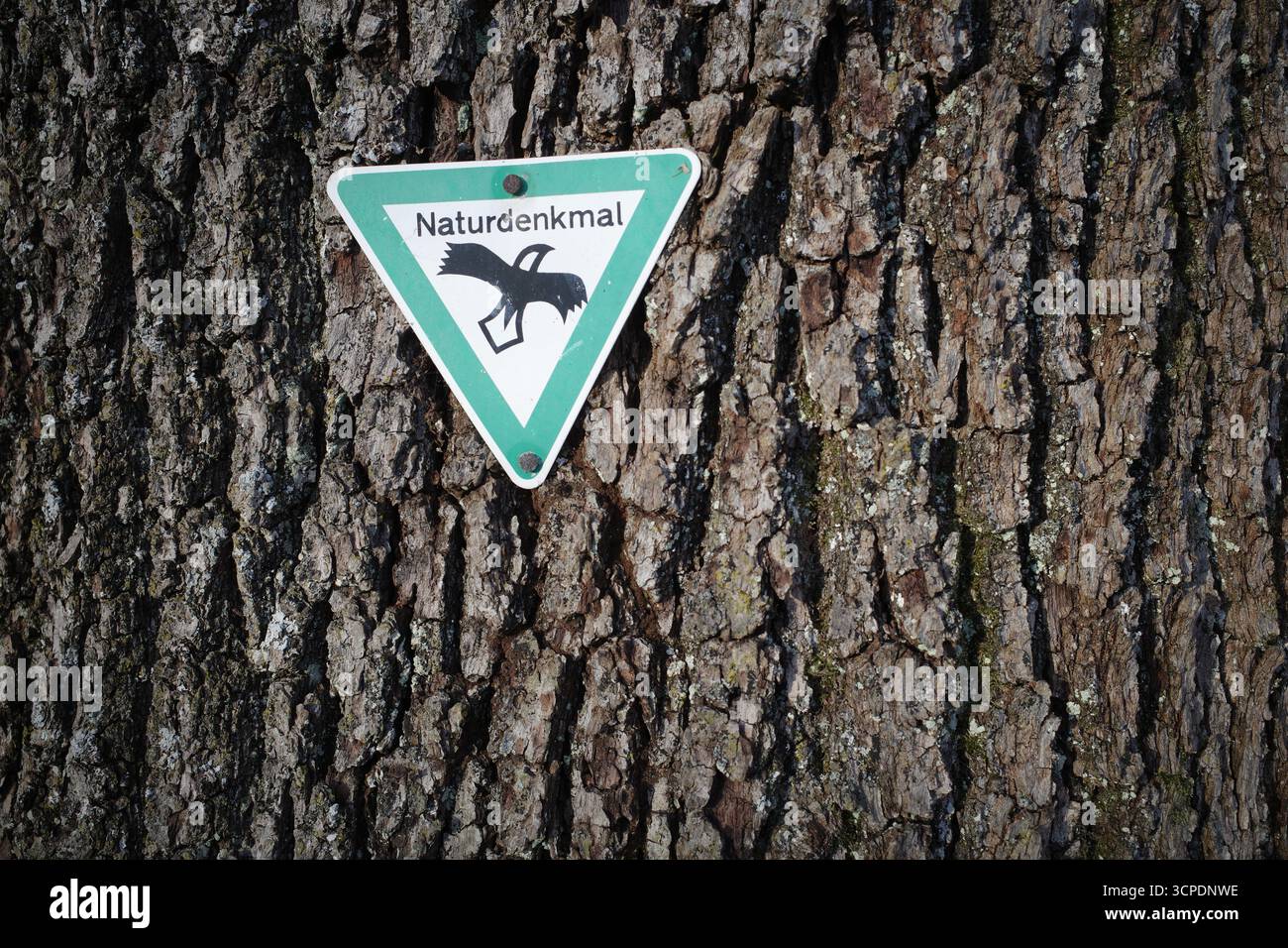Sign is attached to a tree trunk Stock Photo - Alamy