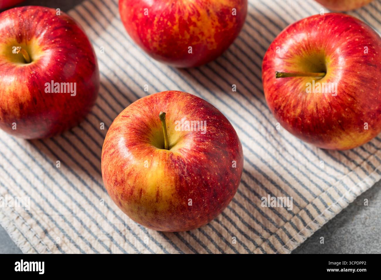 Organic Raw Red Envy Apples Ready to Eat in the Fall Stock Photo - Alamy