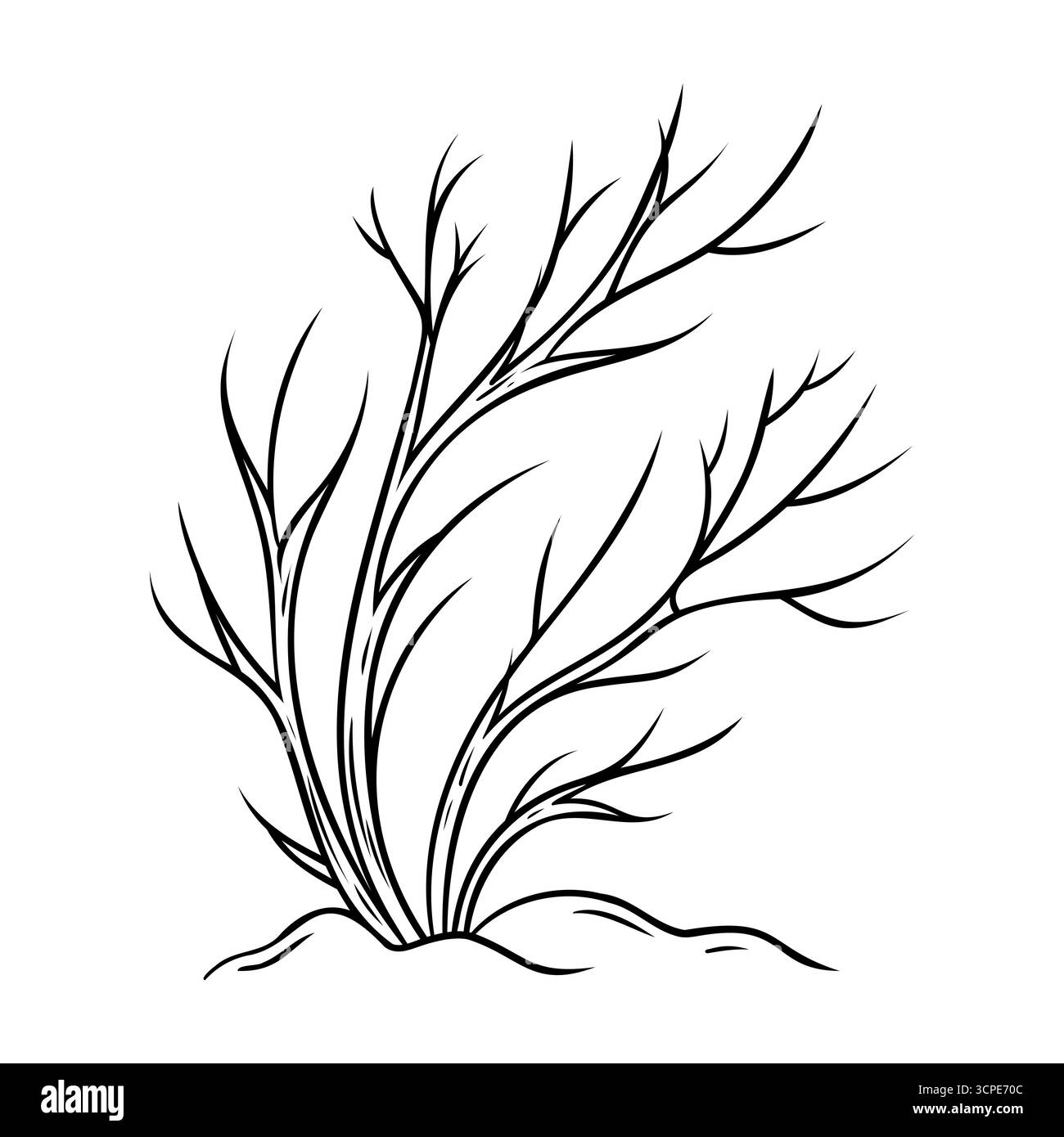 Winter bush thin outline. Hand drawn Vector isolated illustration on ...