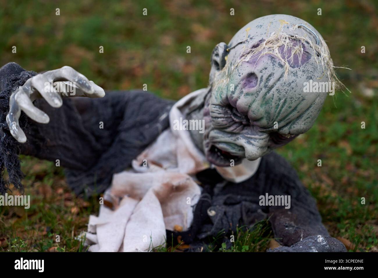 A decomposed zombie prop claws its way through grass with a twisted ...
