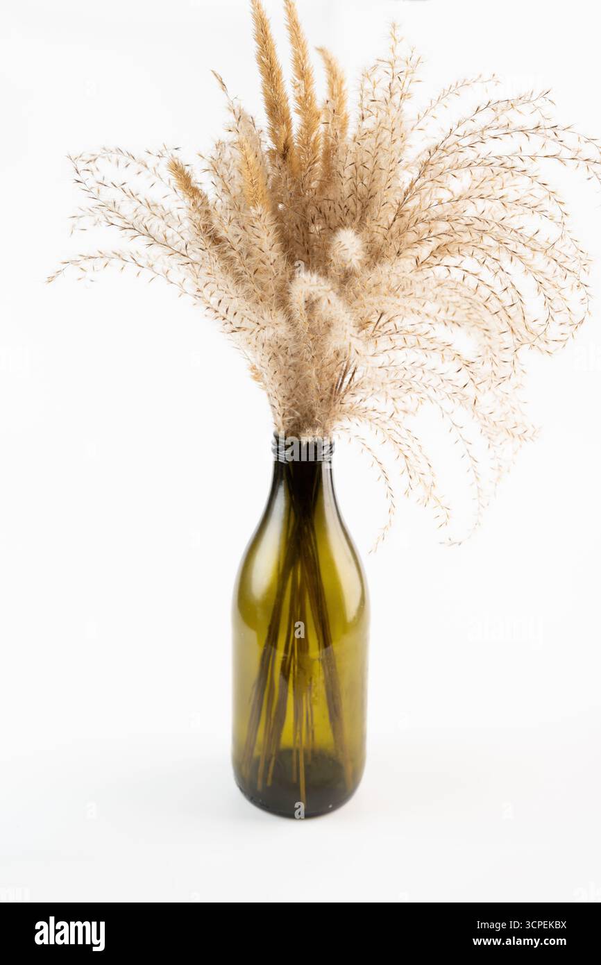 Cozy autumn background Cut Out Stock Images & Pictures - Alamy