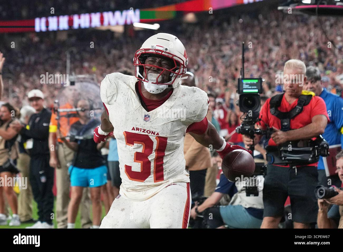 Arizona Cardinals running back Emari Demercado celebrates after scoring ...