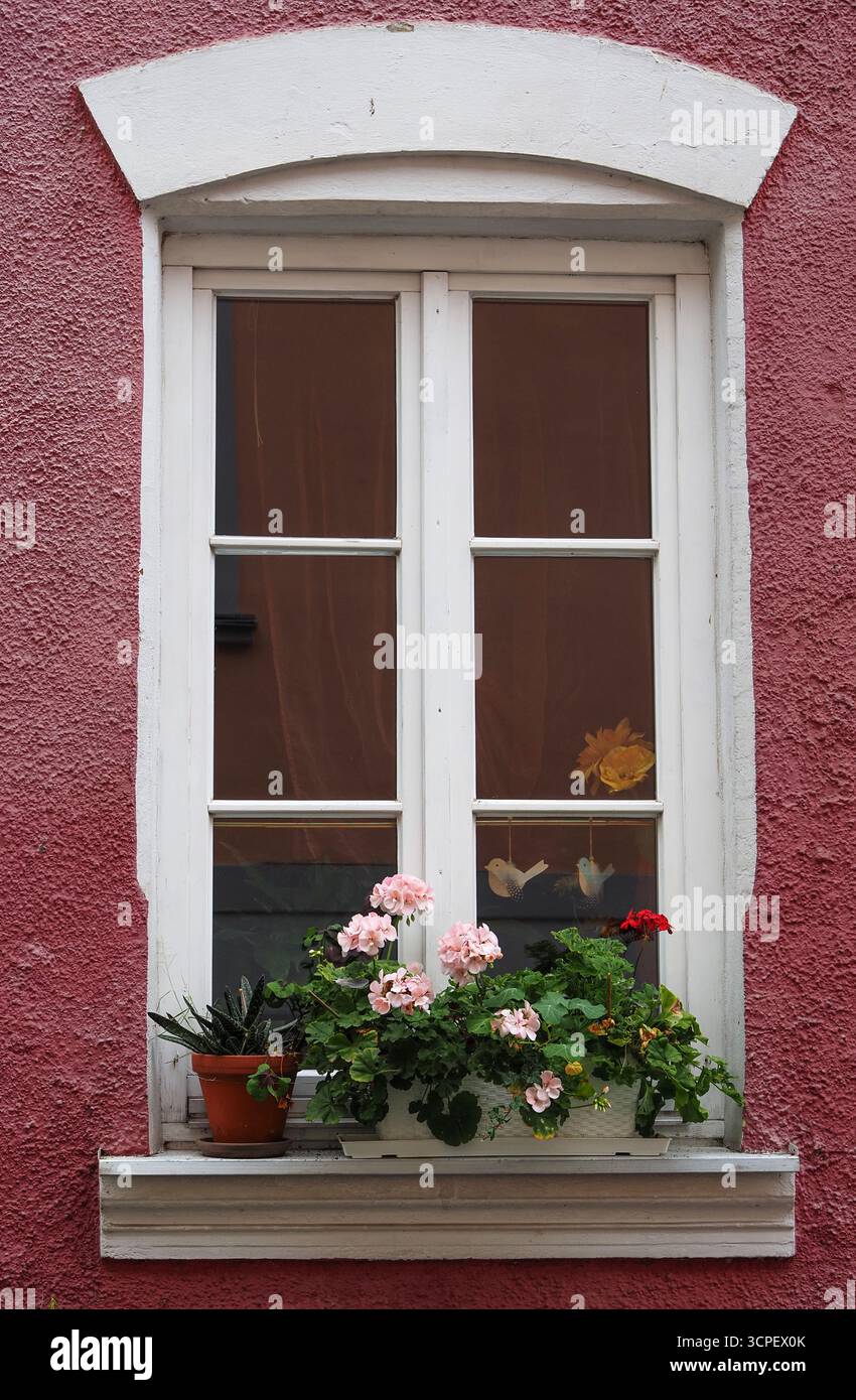 A white-framed window on a textured red wall with a window sill ...