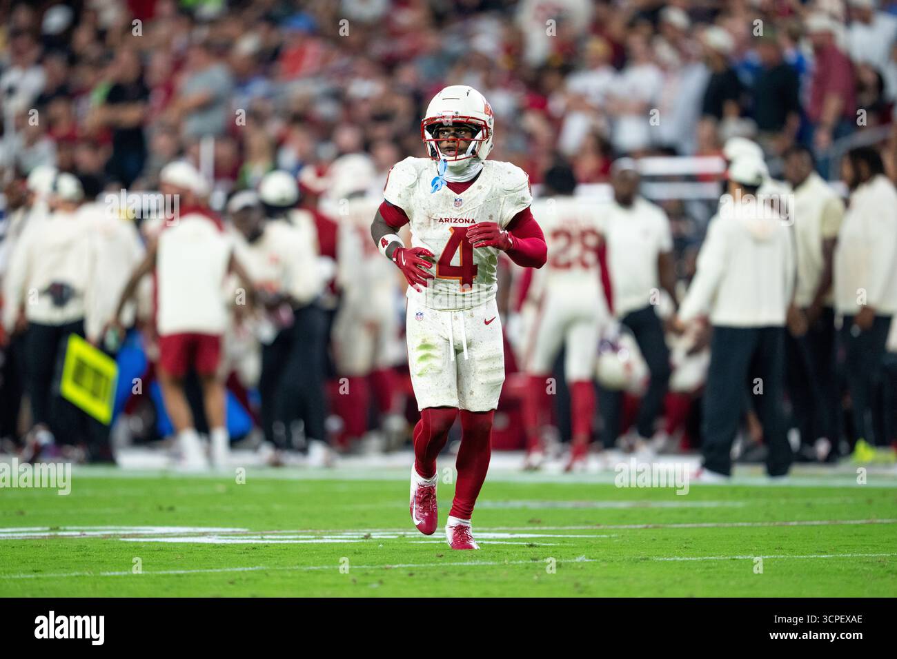 Arizona Cardinals wide receiver Greg Dortch (4) runs out onto the field ...