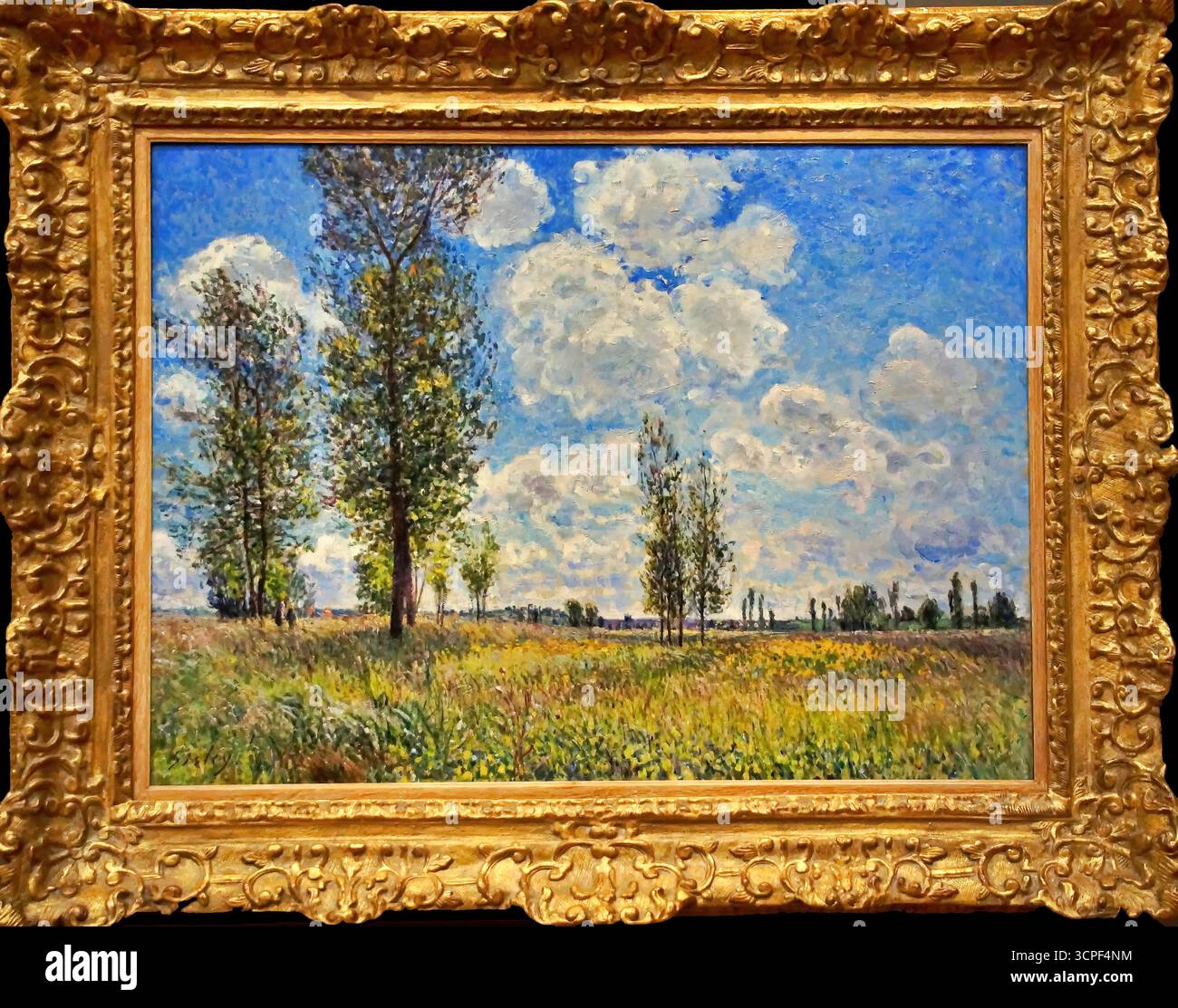 Valley color Stock Vector Images - Alamy