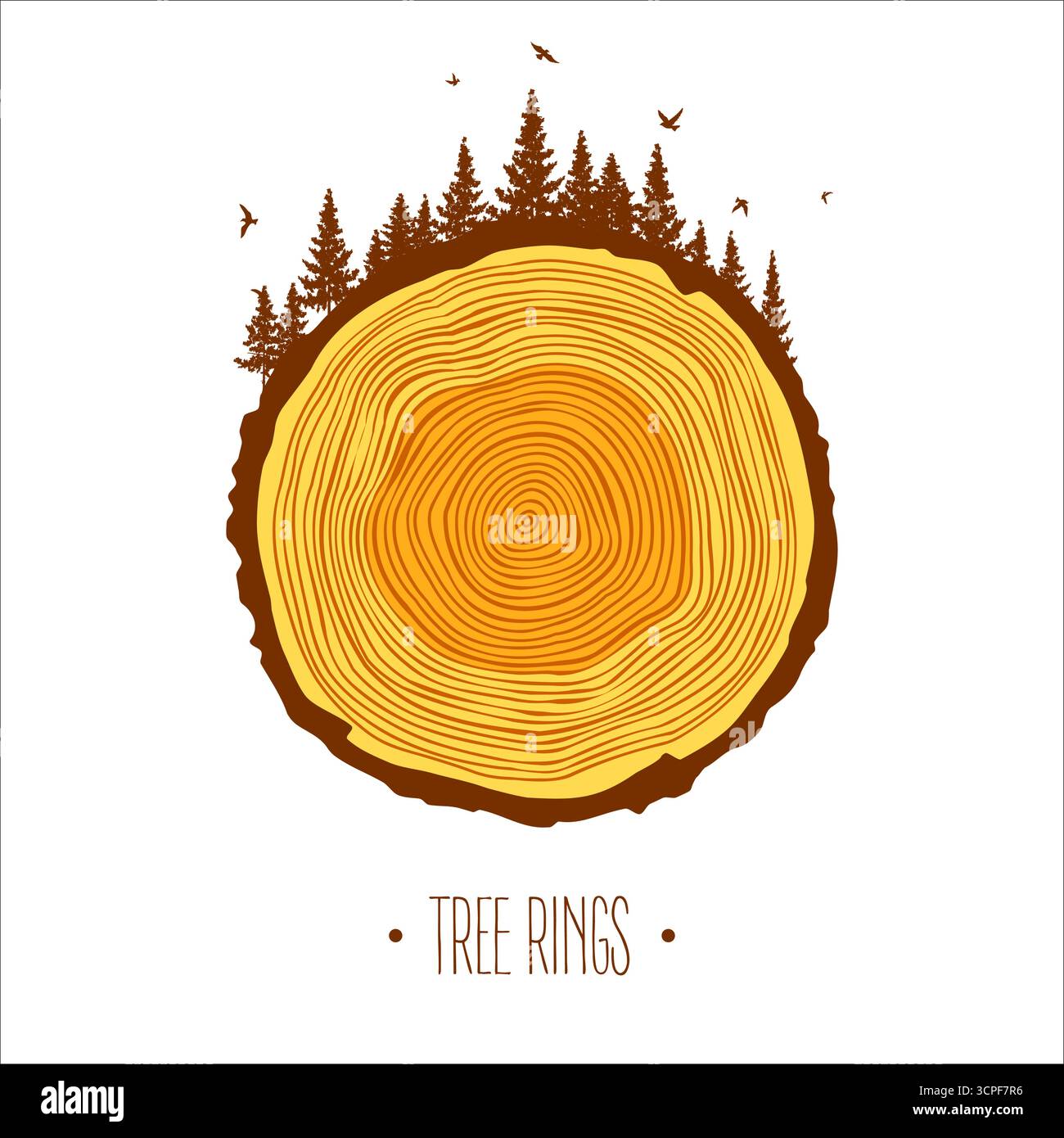 Round tree trunk cut with trees, forest and birds. Sawn pine or oak ...