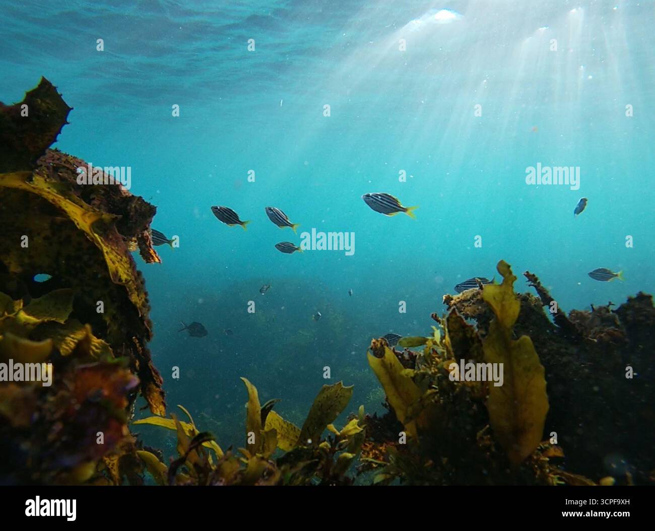 (250926) -- CANBERRA, Sept. 26, 2025 (Xinhua) -- This photo taken on ...