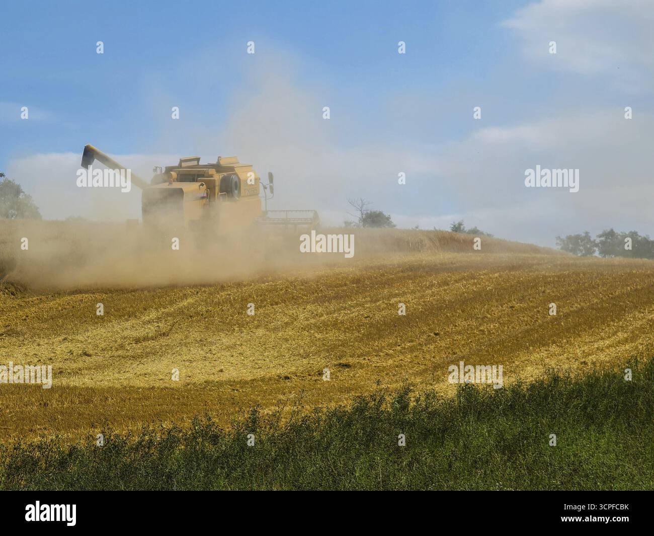 A combine harvester drives across a dusty field under a blue sky ...