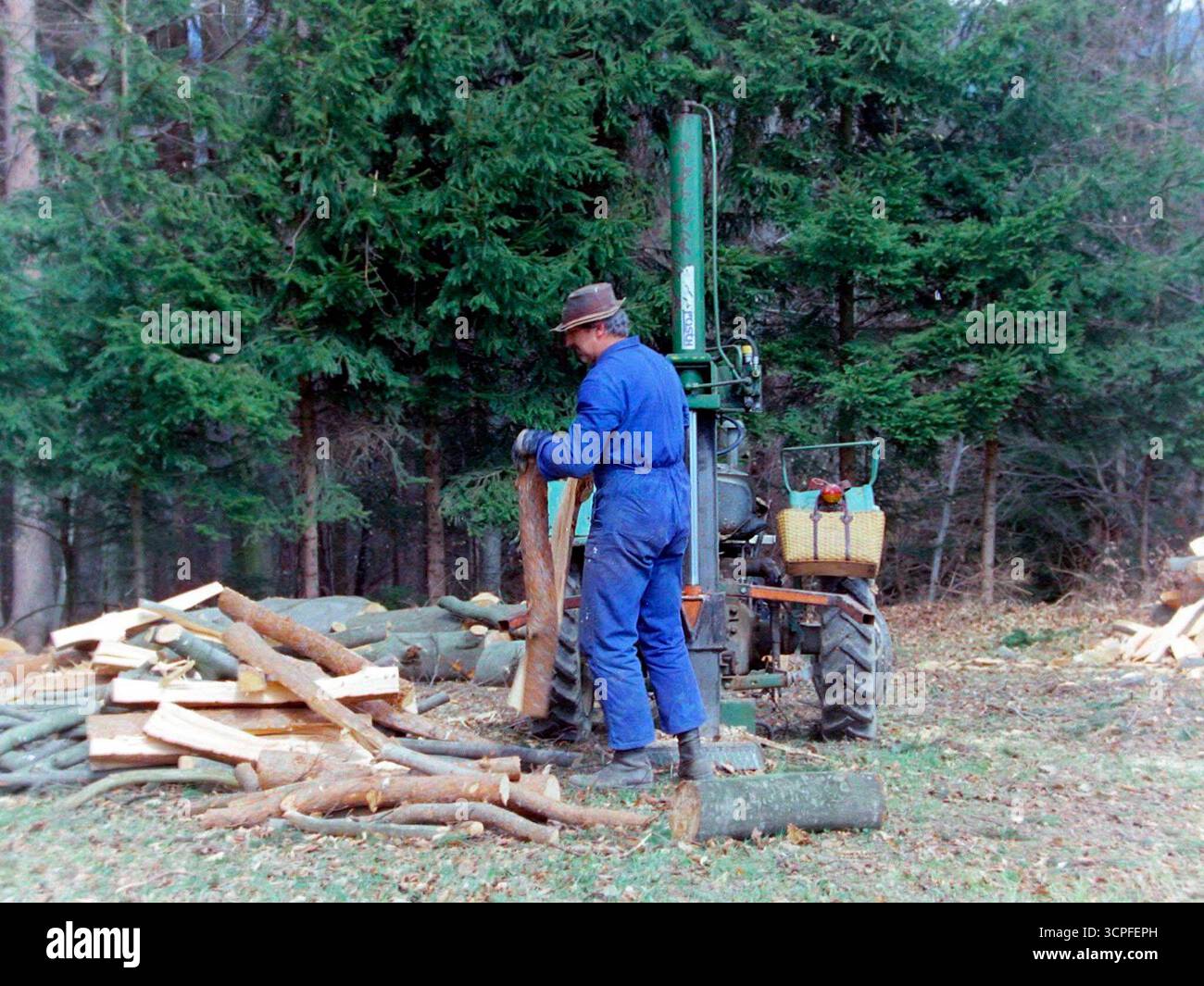 splitting of wood in the forest, timber industry and forestry wood ...