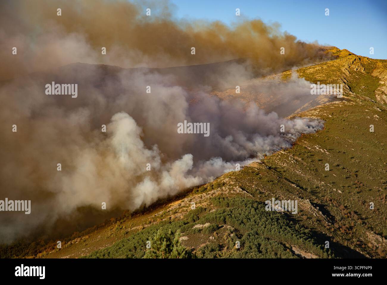 View of the fire in the Pico del Lobo area, from the Pico del Lobo ...