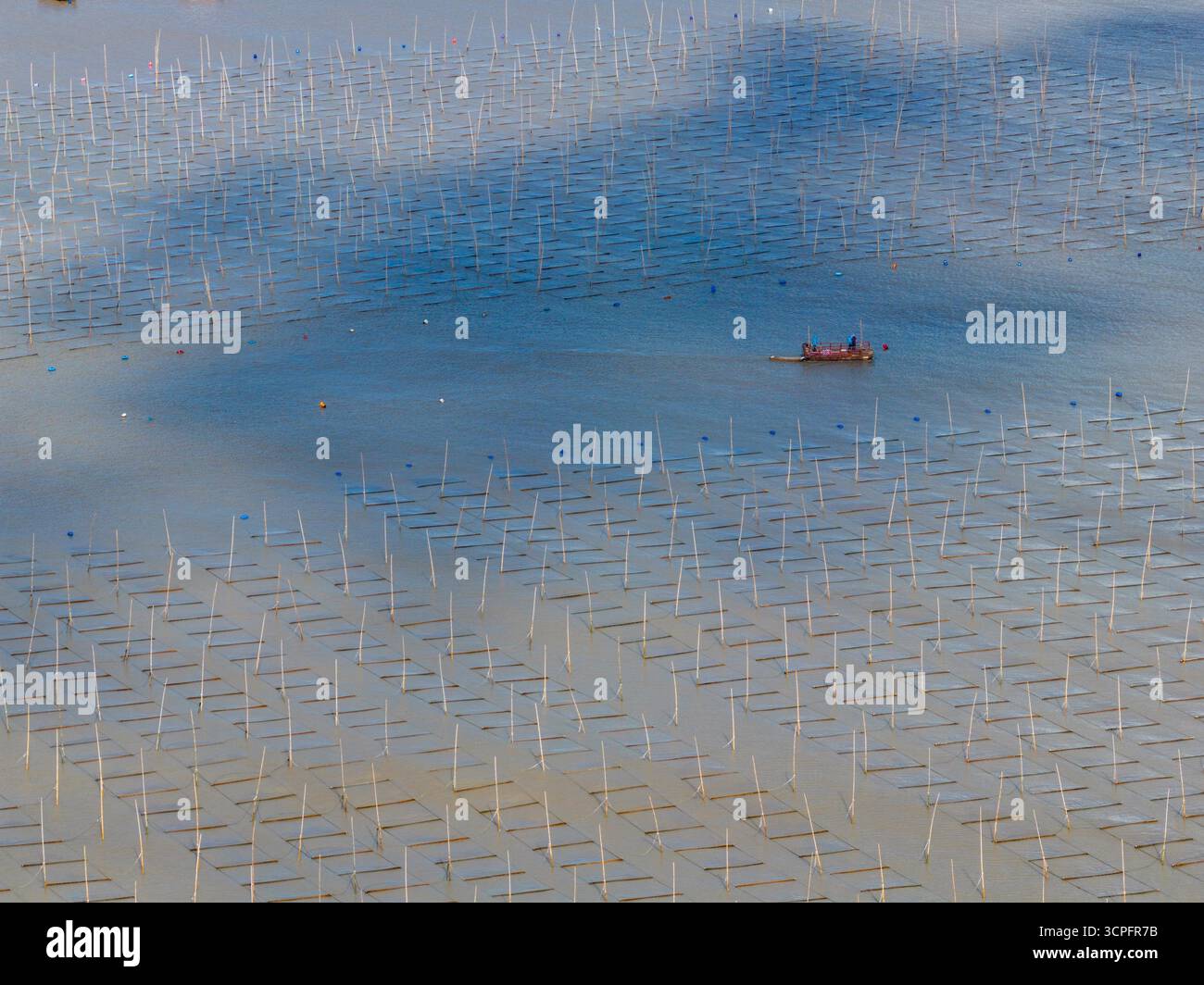 Aerial photo shows the "marine granary" in Ningde City, southeast China ...