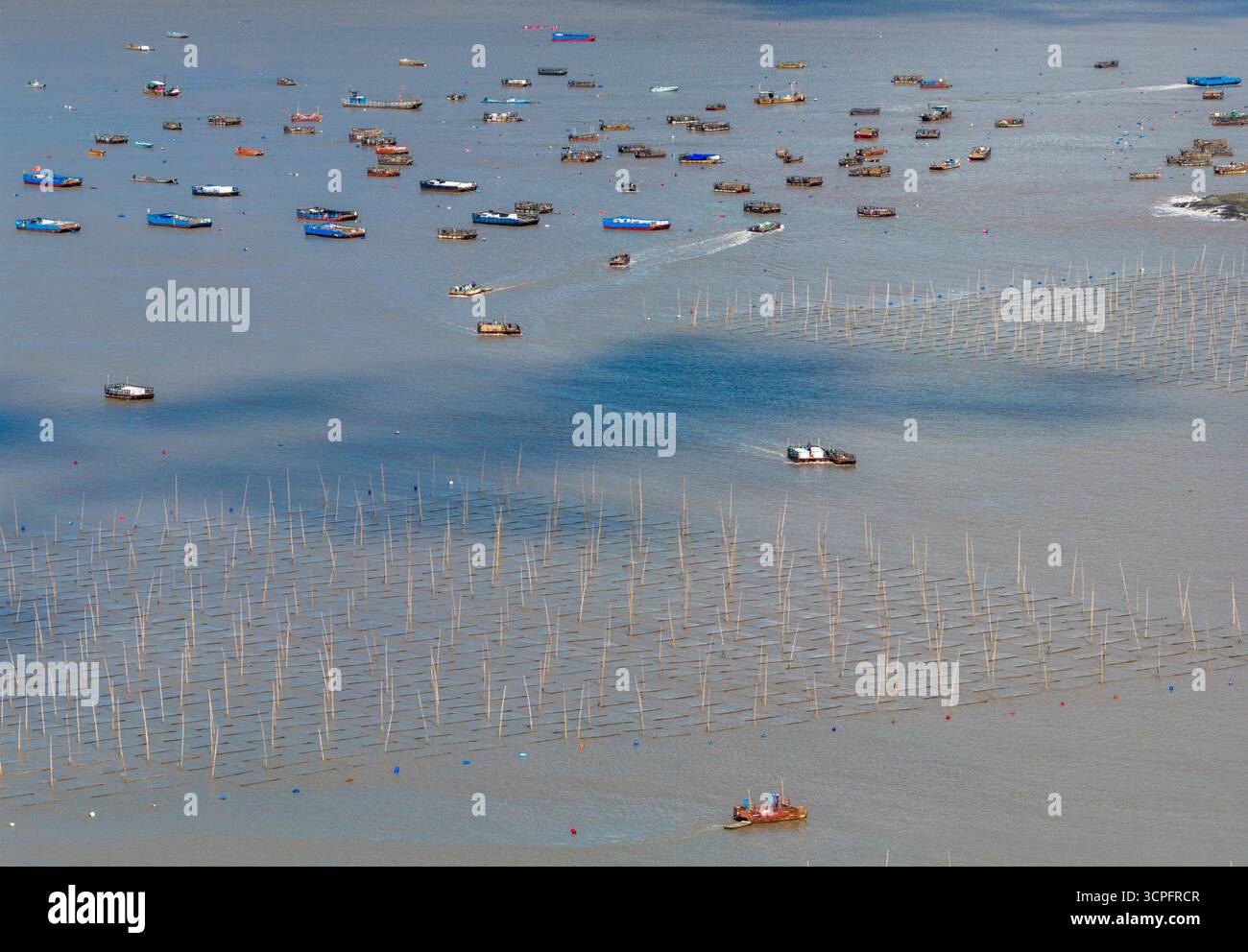 Aerial photo shows the "marine granary" in Ningde City, southeast China ...