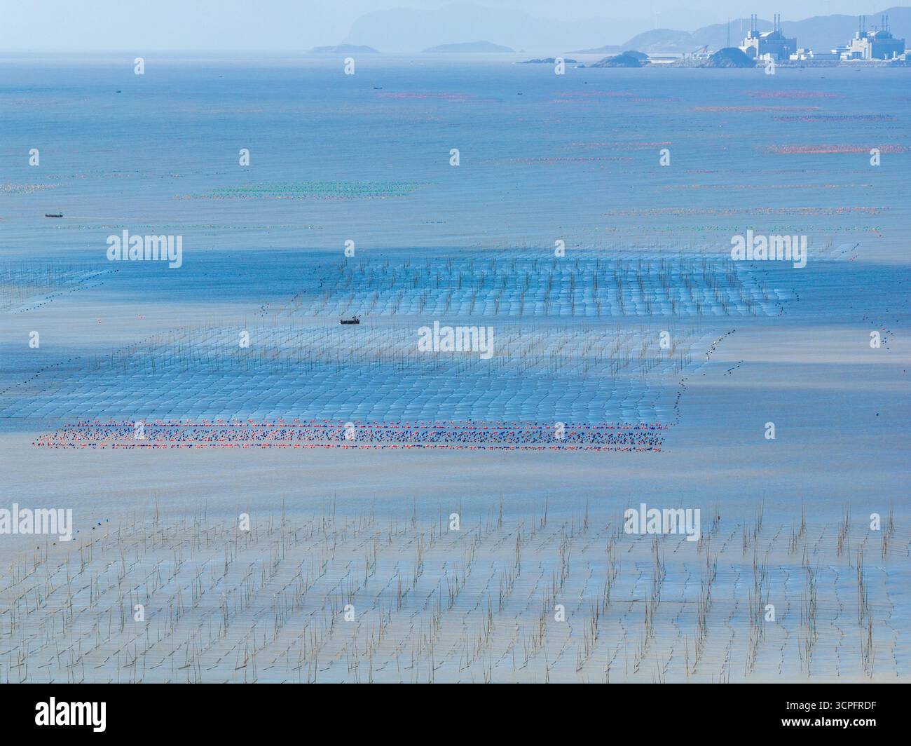 Aerial photo shows the "marine granary" in Ningde City, southeast China ...