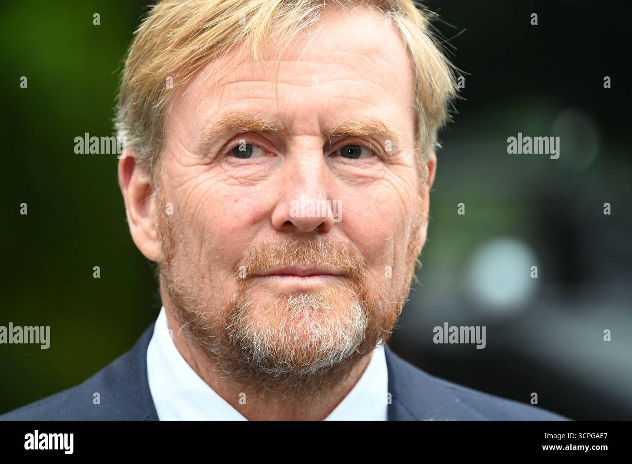 King WILLEM-ALEXANDER of the Netherlands portrait, portrait, cropped ...