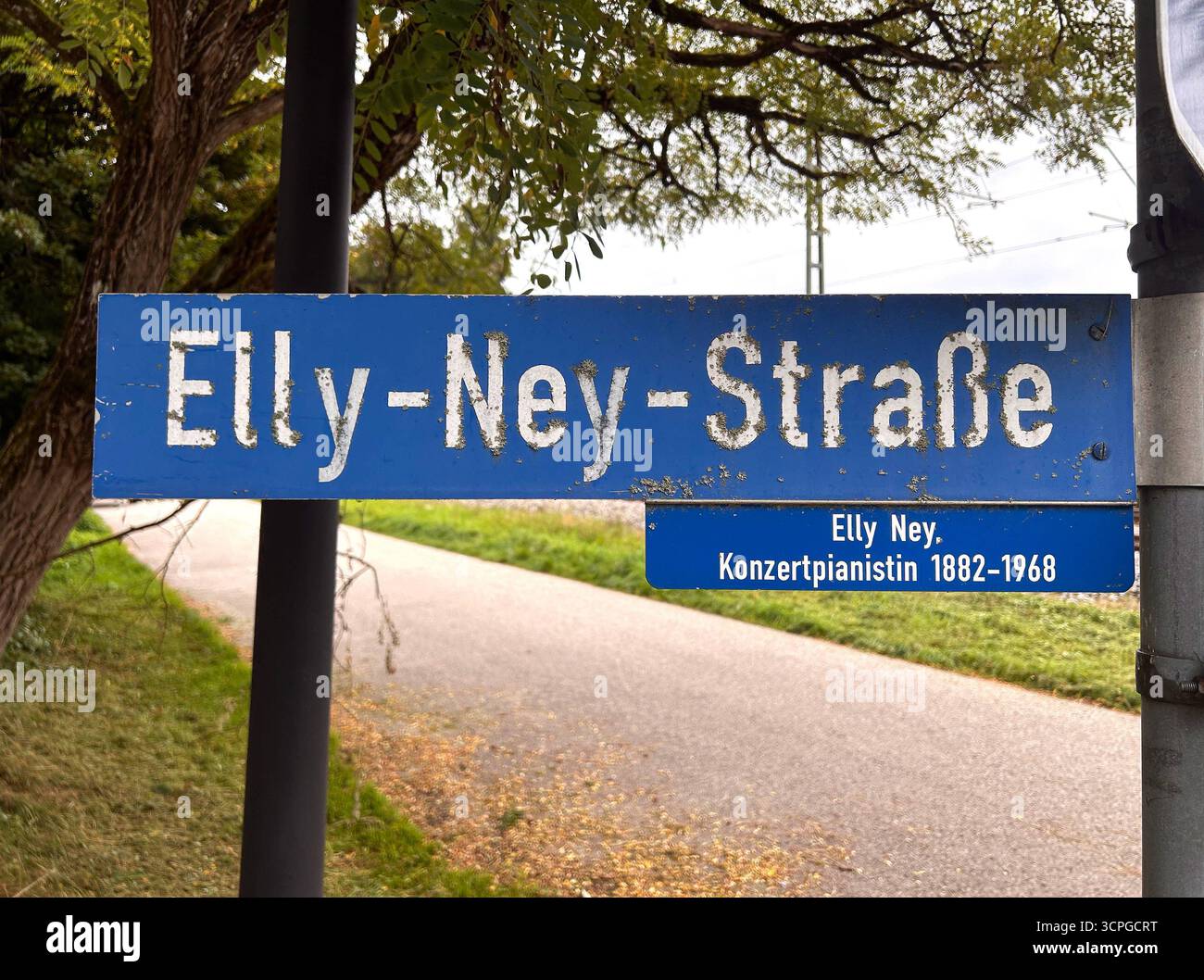 Hier der Strassenname, Strassenschild von Elly Ney, weltberühmte ...