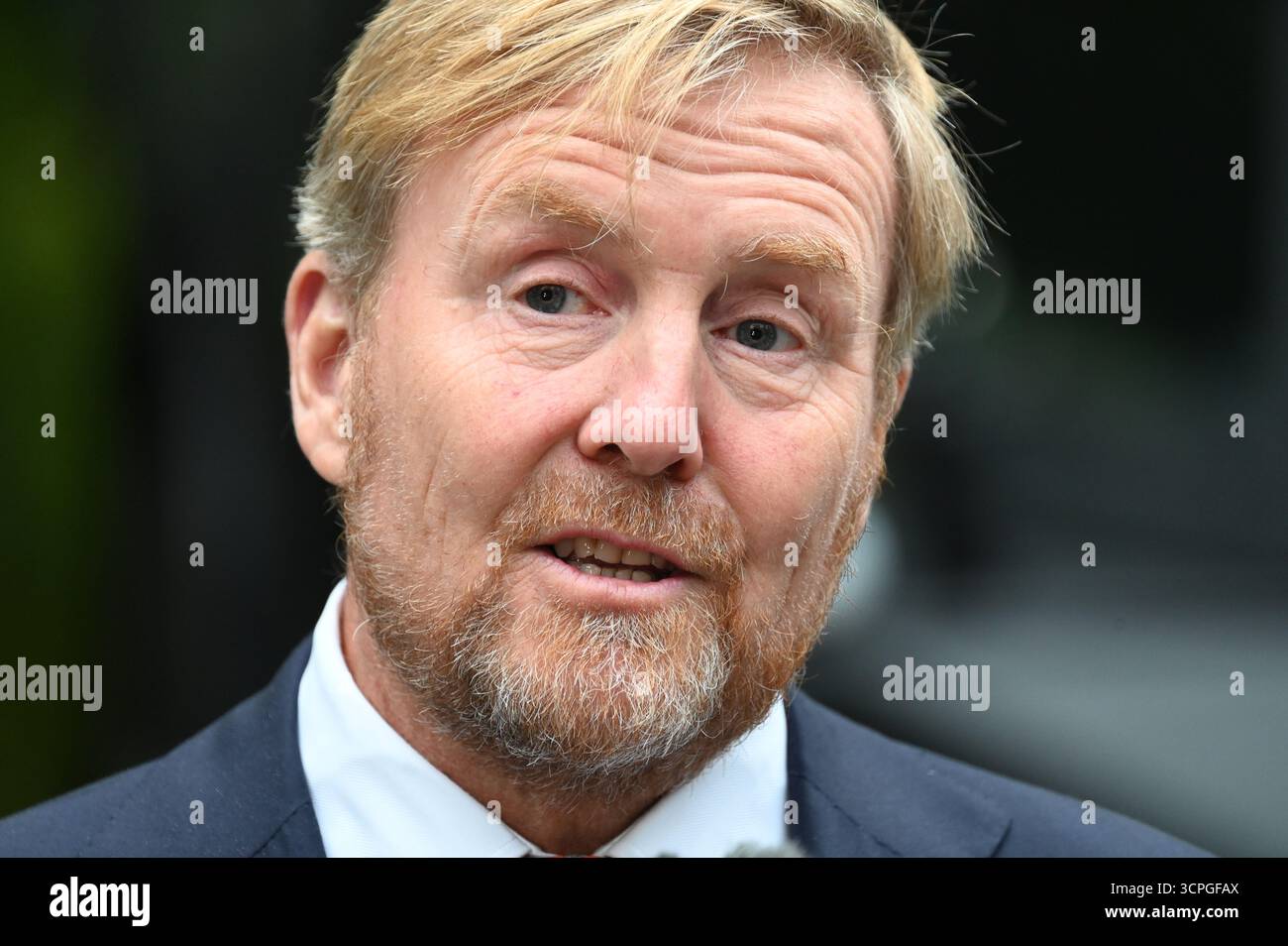 King WILLEM-ALEXANDER of the Netherlands portrait, portrait, cropped ...