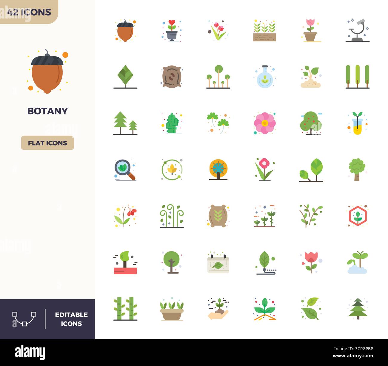 Classification in botanical illustration Stock Vector Images - Alamy