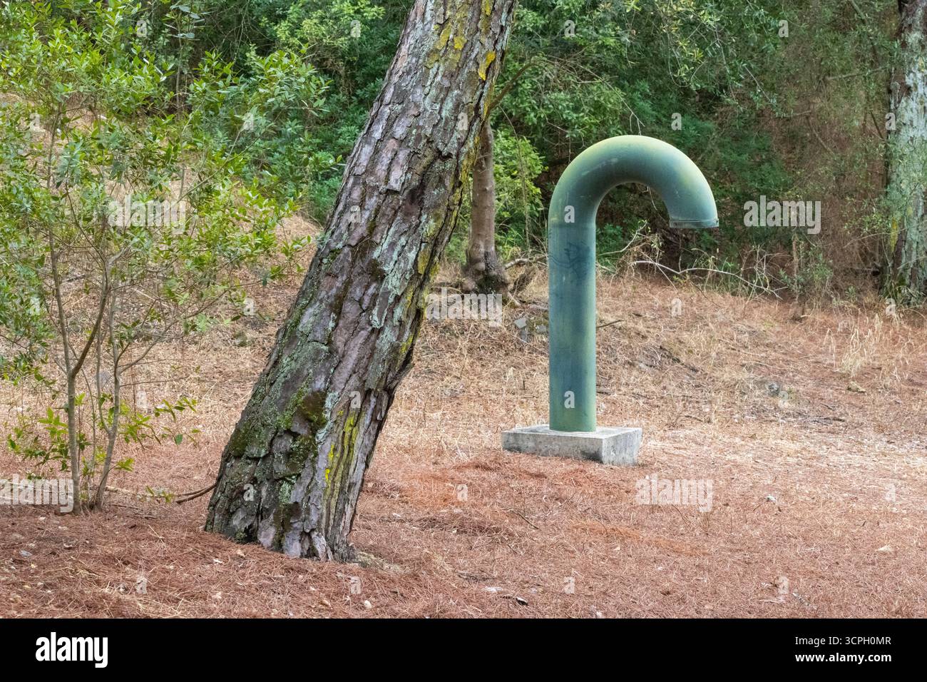 Green metal standing in monsanto forest park, lisbon Stock Photo - Alamy