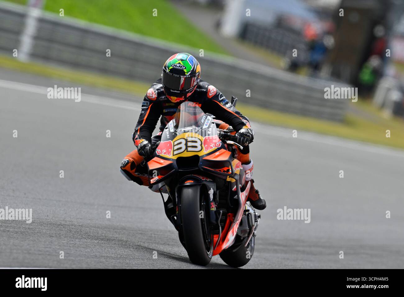 33 BINDER Brad (zaf), Red Bull KTM Factory Racing, KTM RC16, action ...