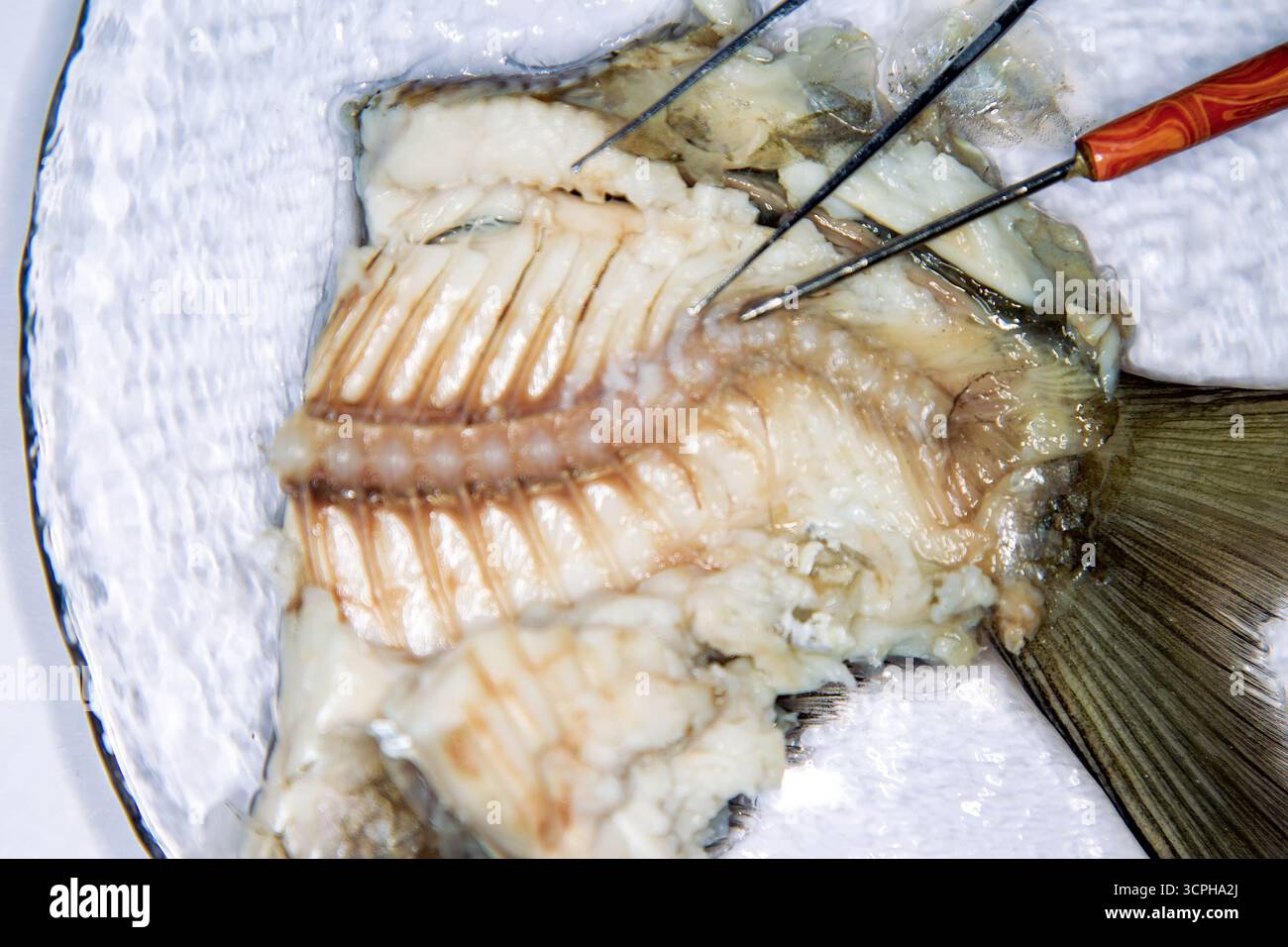 Fish deviation hi-res stock photography and images - Alamy