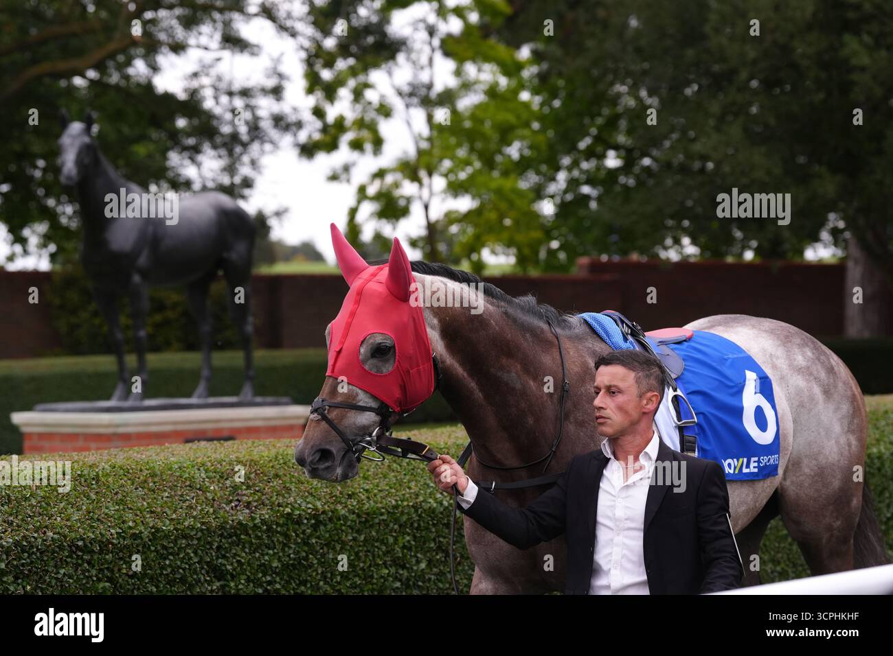 Horse Lion's Pride in the pre-parade ring ahead of the Boyle Sports ...