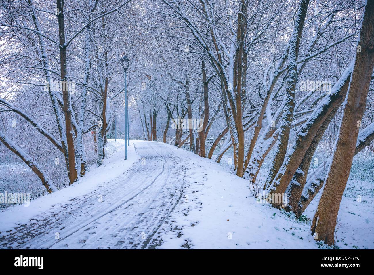 Well traveled path in snow hi-res stock photography and images - Alamy