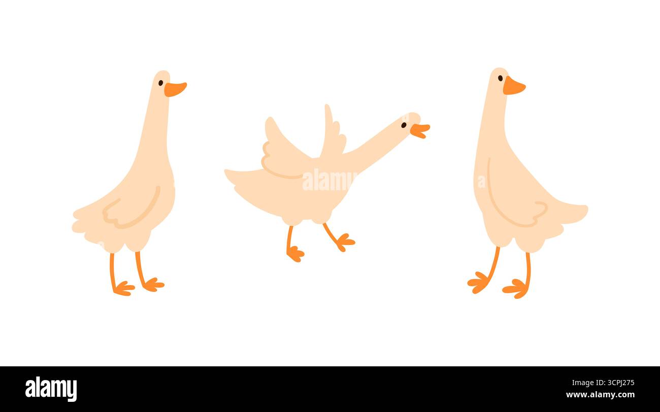 Set of cute white geese with long neck and webbed feet in different ...