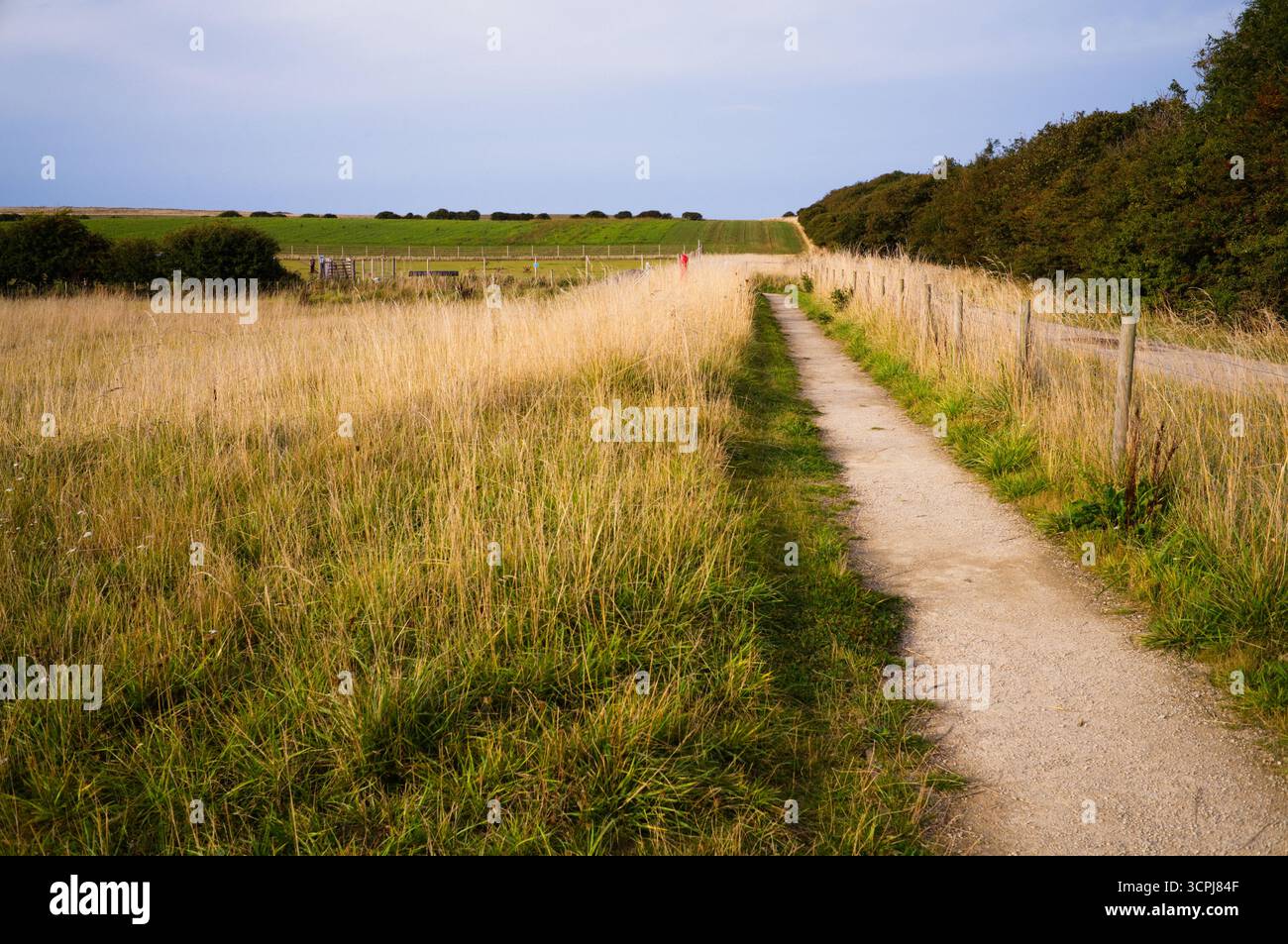 Path alongside field ripe hi-res stock photography and images - Alamy