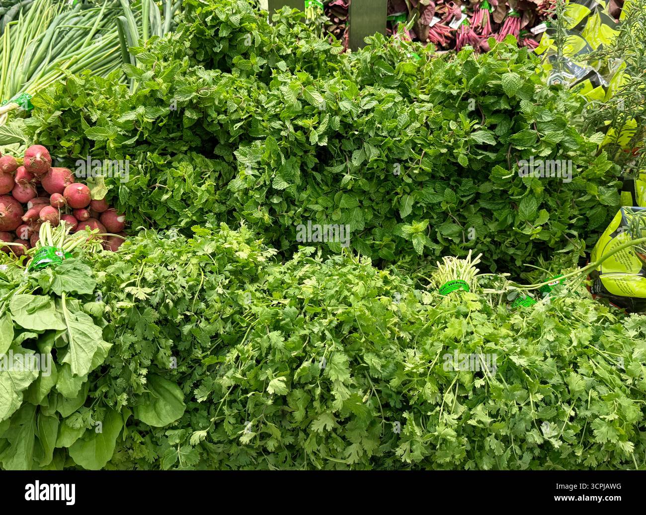 Fresh assortment of mint, cilantro, spinach at local farmer's market ...