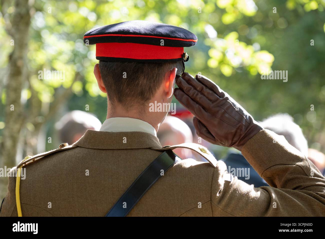 Louise lear hi-res stock photography and images - Alamy