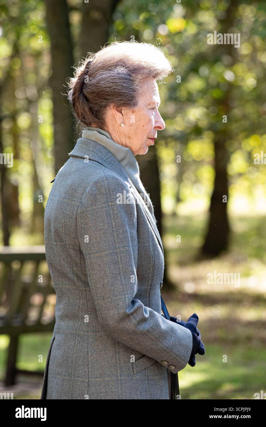 Louise lear hi-res stock photography and images - Alamy