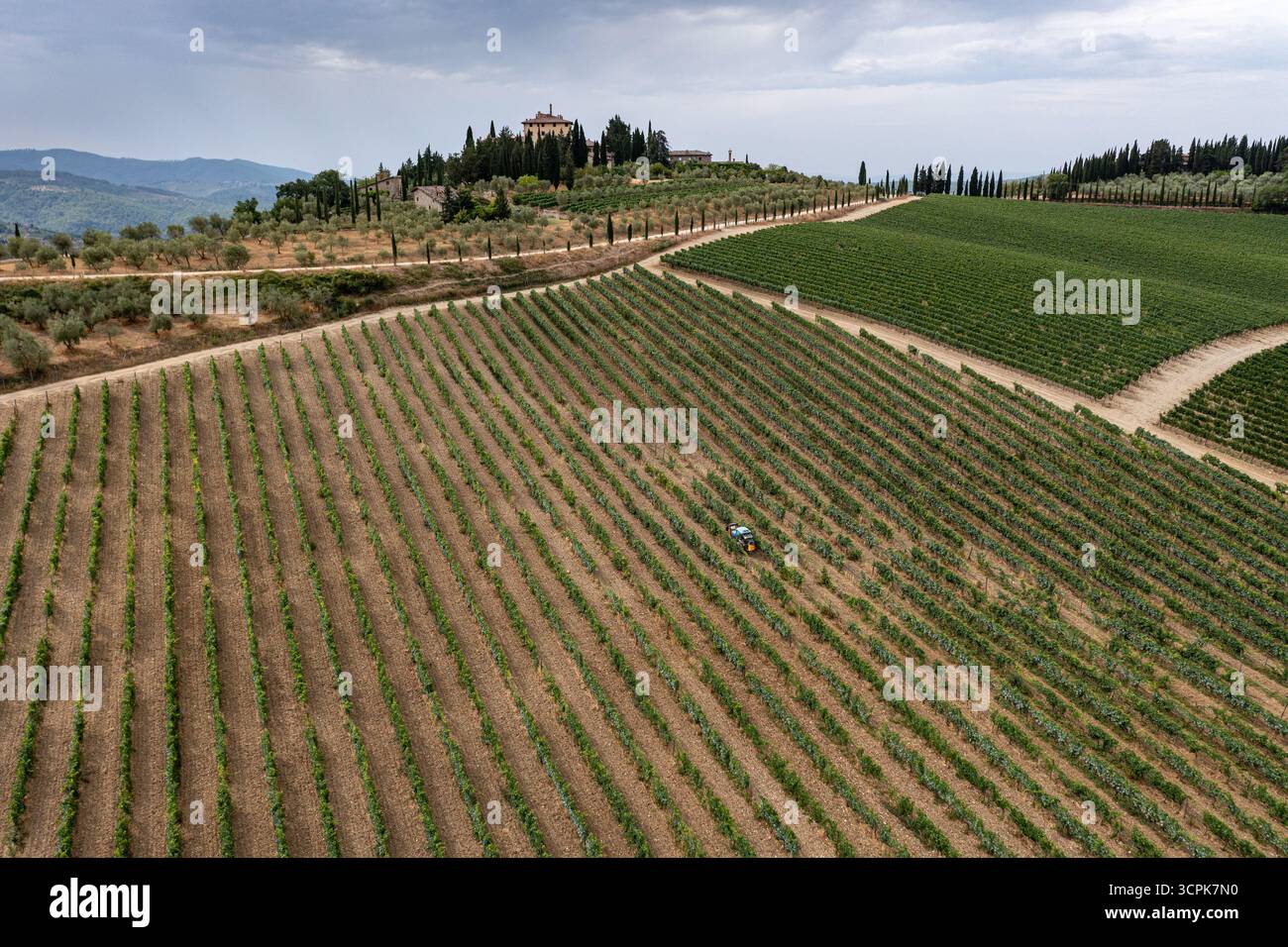 Aerial view of sun-kissed vineyards meet terracotta rooftops under a ...