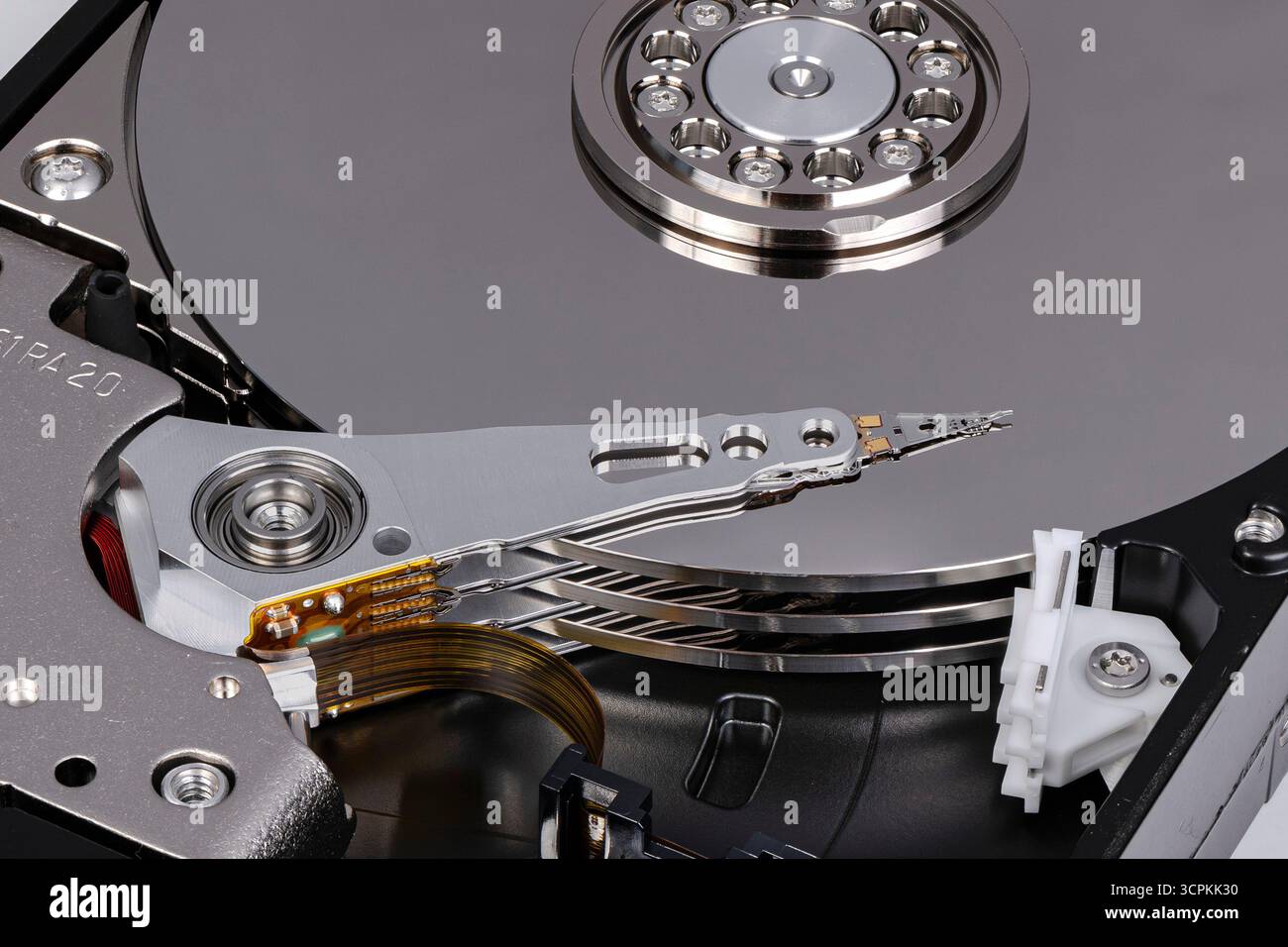 Beauty disk hi-res stock photography and images - Alamy
