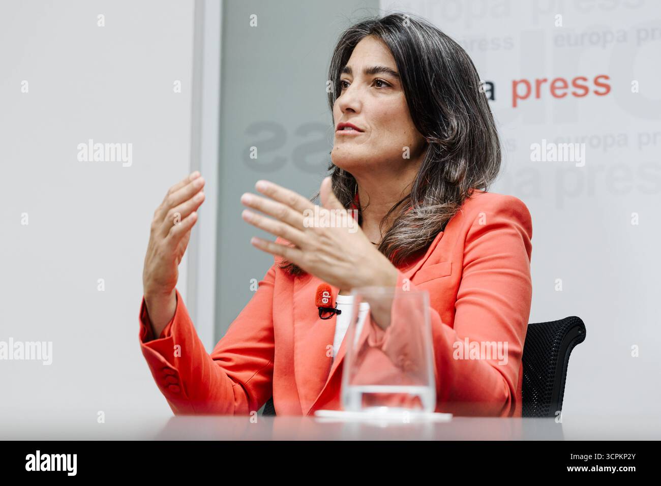 The spokesperson for Más Madrid in the Assembly, Manuela Bergerot ...