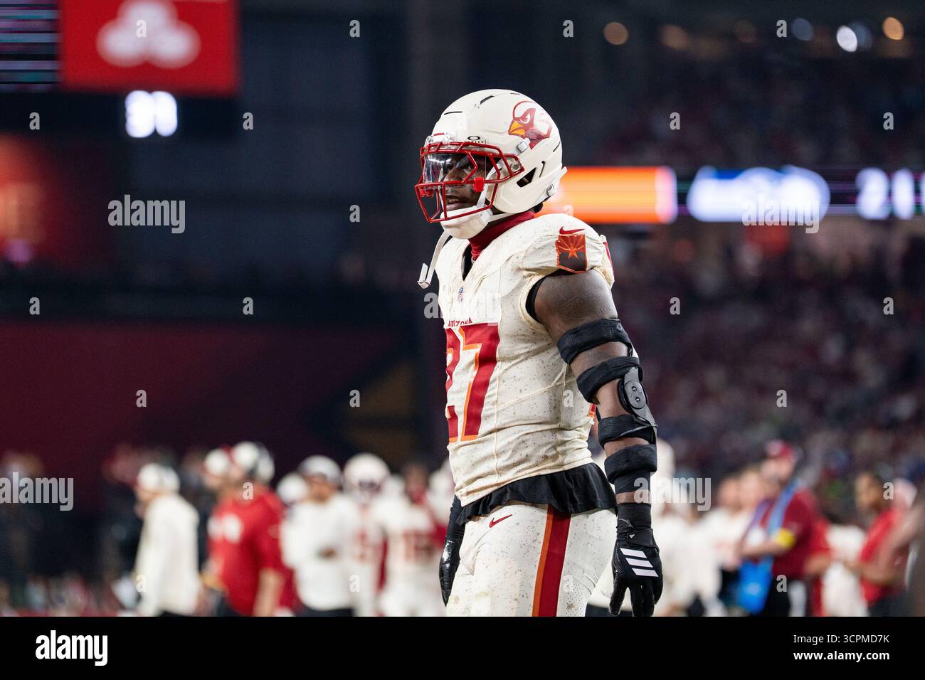 Arizona Cardinals linebacker Akeem Davis-Gaither (27) looks on during a ...