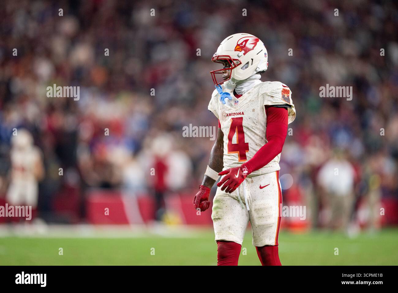 Arizona Cardinals wide receiver Greg Dortch (4) looks on during a NFL ...