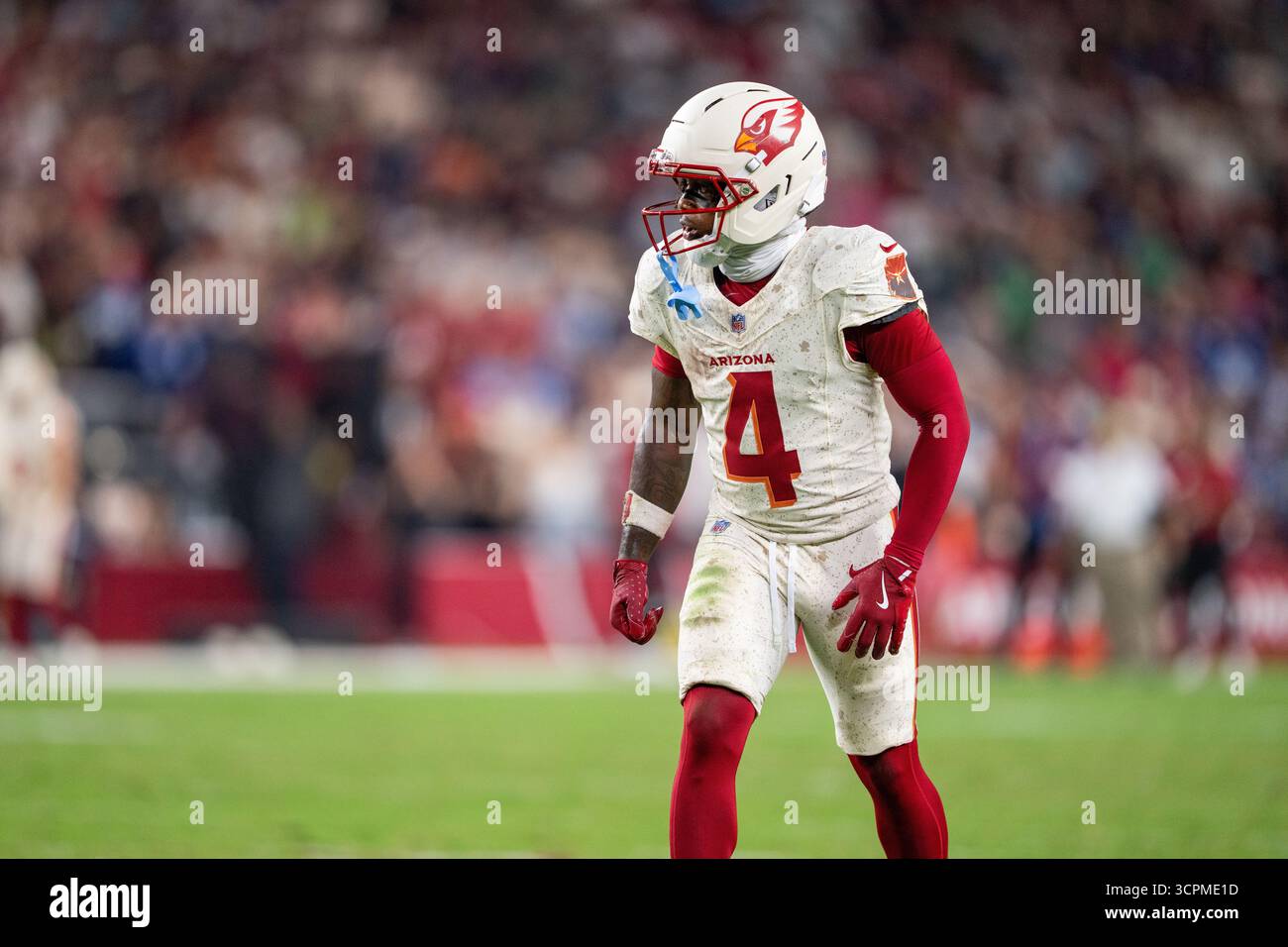Arizona Cardinals wide receiver Greg Dortch (4) looks on during a NFL ...
