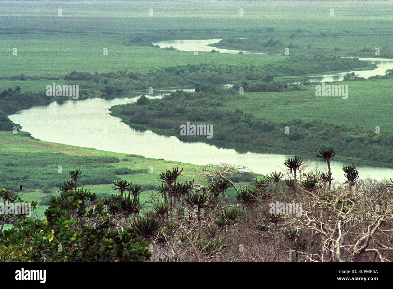 FILE - The Kwanza river snakes through the Quicama National Park about ...