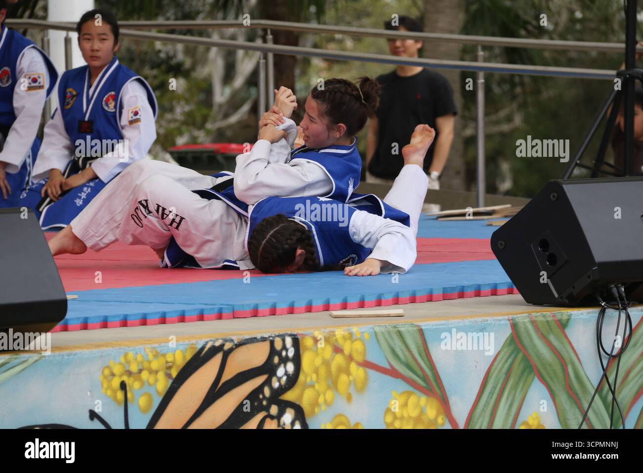 Sydney, Australia. 27th September 2025. Korea Day Festival 2025 in Burwood Park, Burwood ...