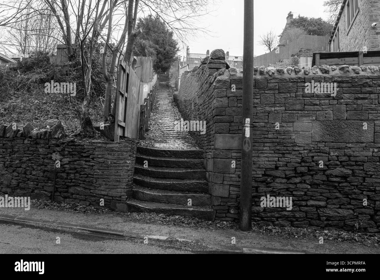 Vegetation lined Black and White Stock Photos & Images - Alamy