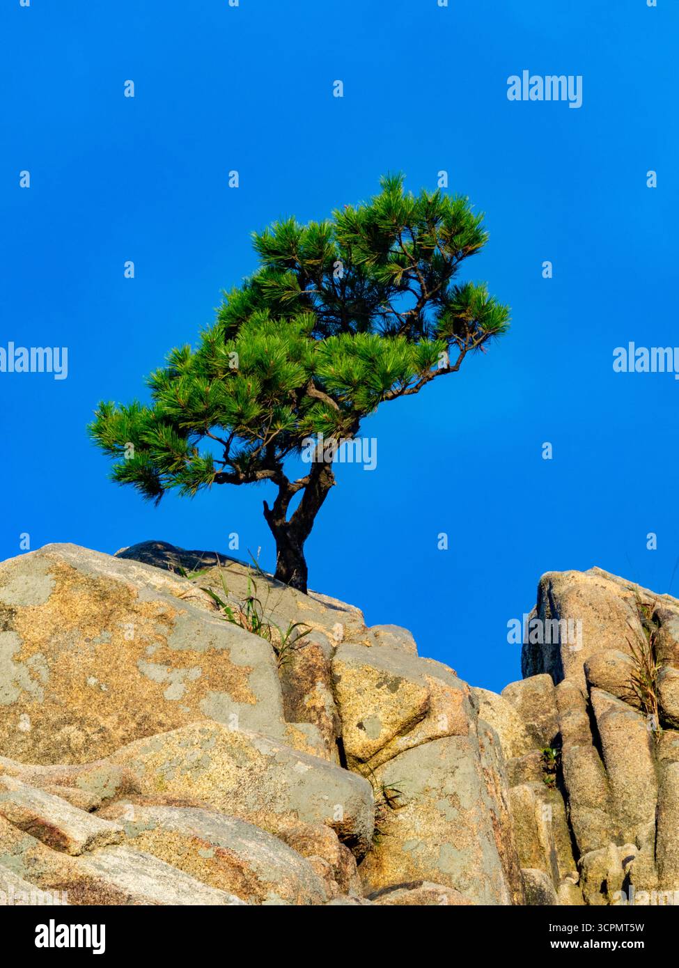 Gwanaksan mountain hi-res stock photography and images - Alamy