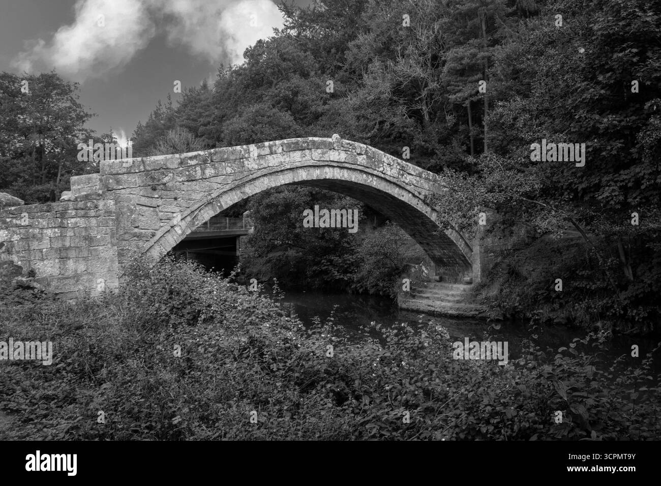 Greenery archway Black and White Stock Photos & Images - Alamy