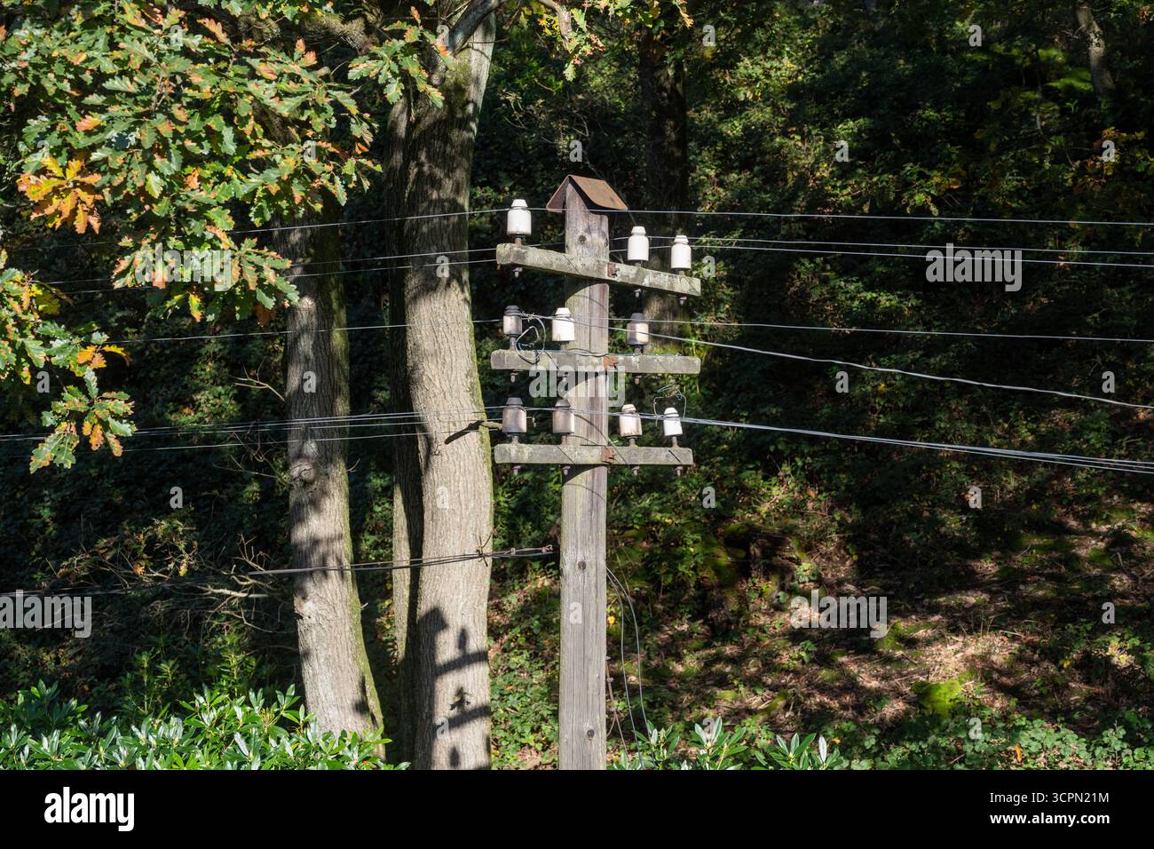 Old wooden telegraph pole with ceramic insulators and wires, heritage ...